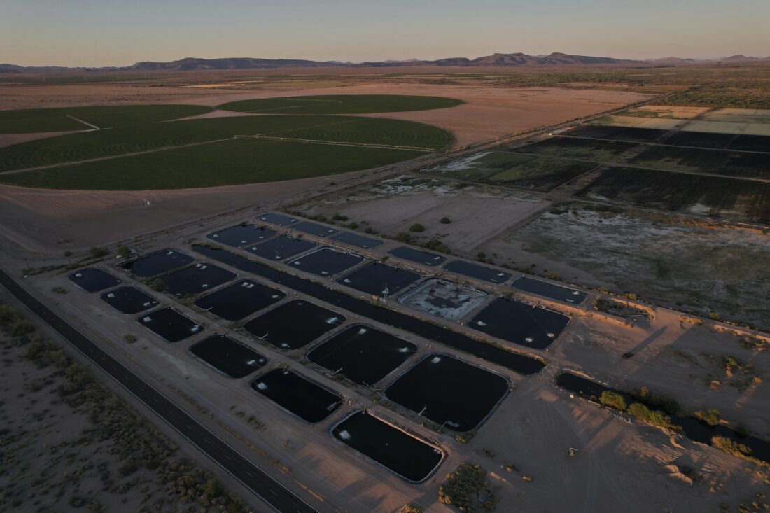 In the Arizona desert, a farm raising fish raises questions about water ...